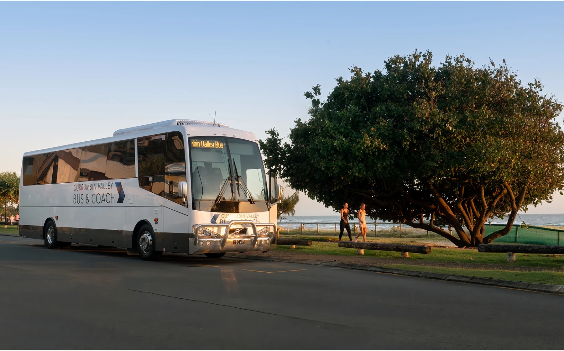 What’s a chart bus? Everything you need to know